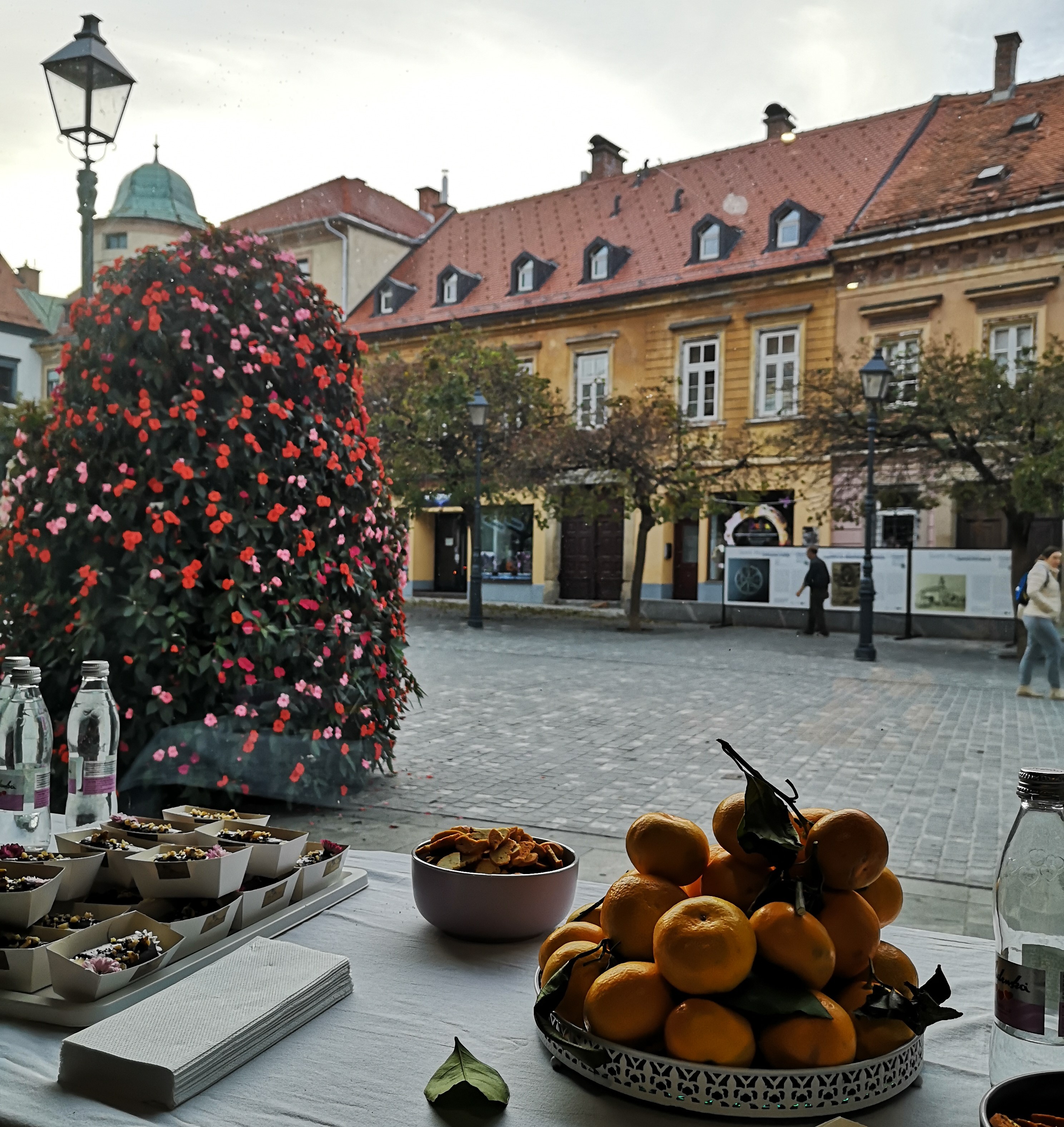 Mreža Cities@Heart: Celje zelo dejavno pri oživljanju mestnega središča, a si želijo storiti še ...